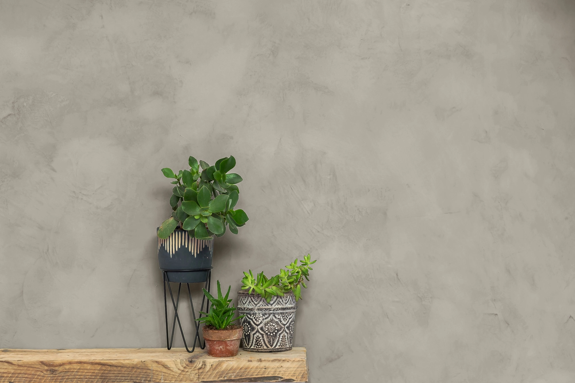 Greys - Relentless Microcement